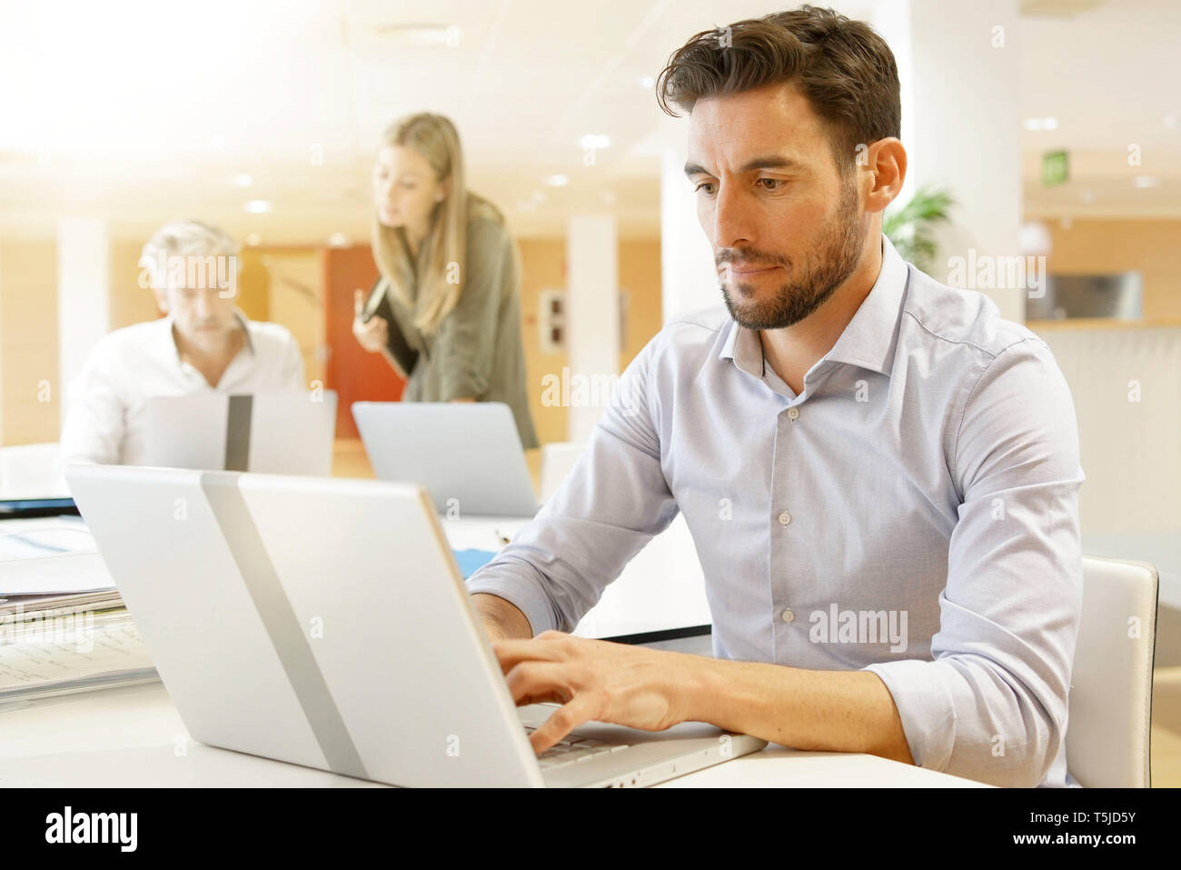 Startup team member working on computer in office Stock Photo - Alamy