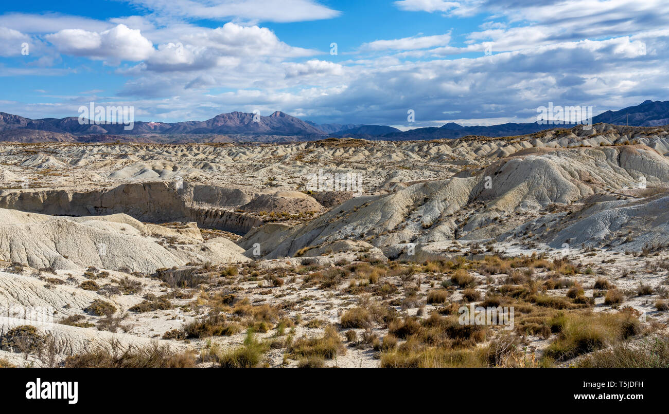 Abanilla hi-res stock photography and images - Alamy