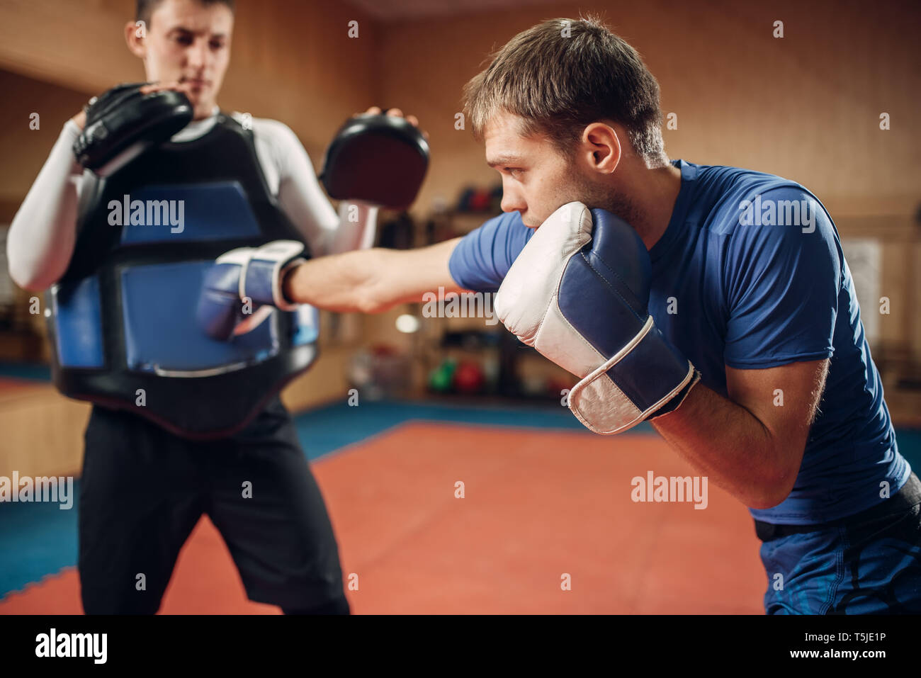 Muscular kickbox muay thai fighter hi-res stock photography and images ...
