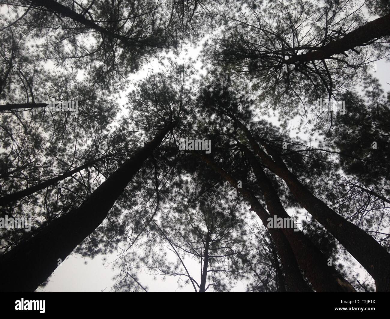 The blessed nature hi-res stock photography and images - Alamy