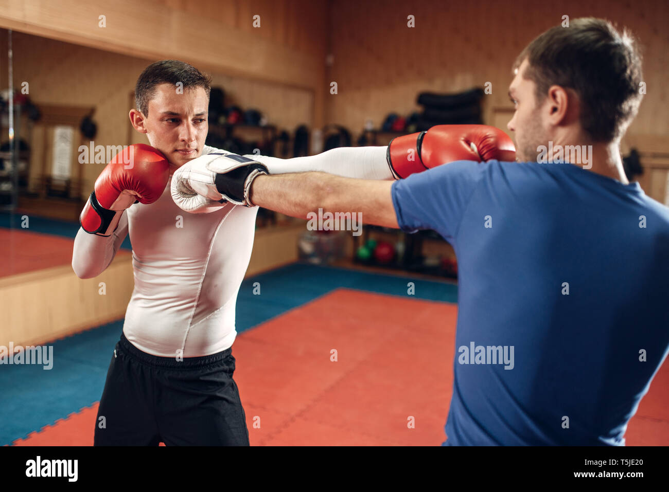 Two male kickboxers in gloves practicing on workout in gym. Fighters on ...
