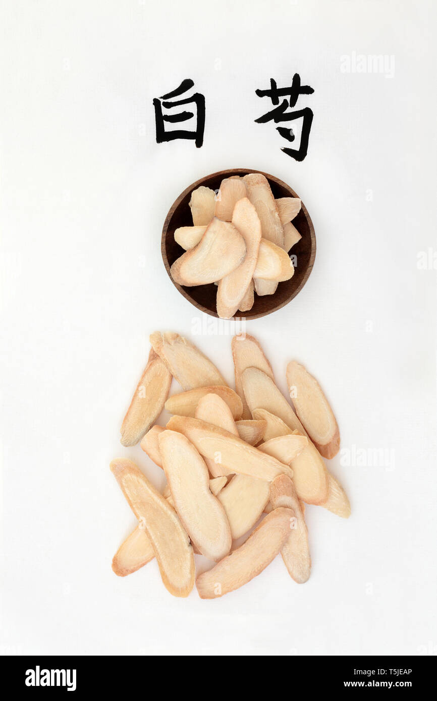 White peony root herb used in chinese herbal medicine with calligraphy ...