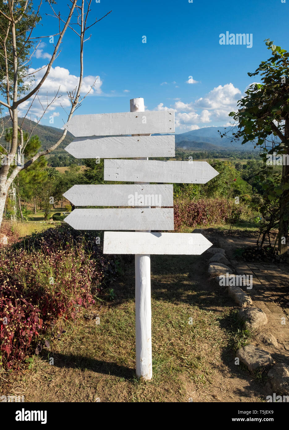 White wooden signpost arrows blank Stock Photo - Alamy