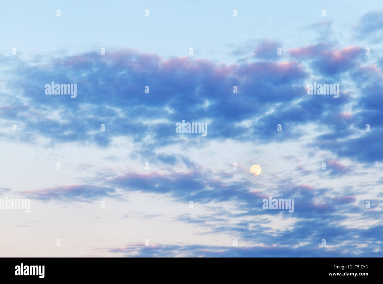 Skyline texture hi-res stock photography and images - Alamy