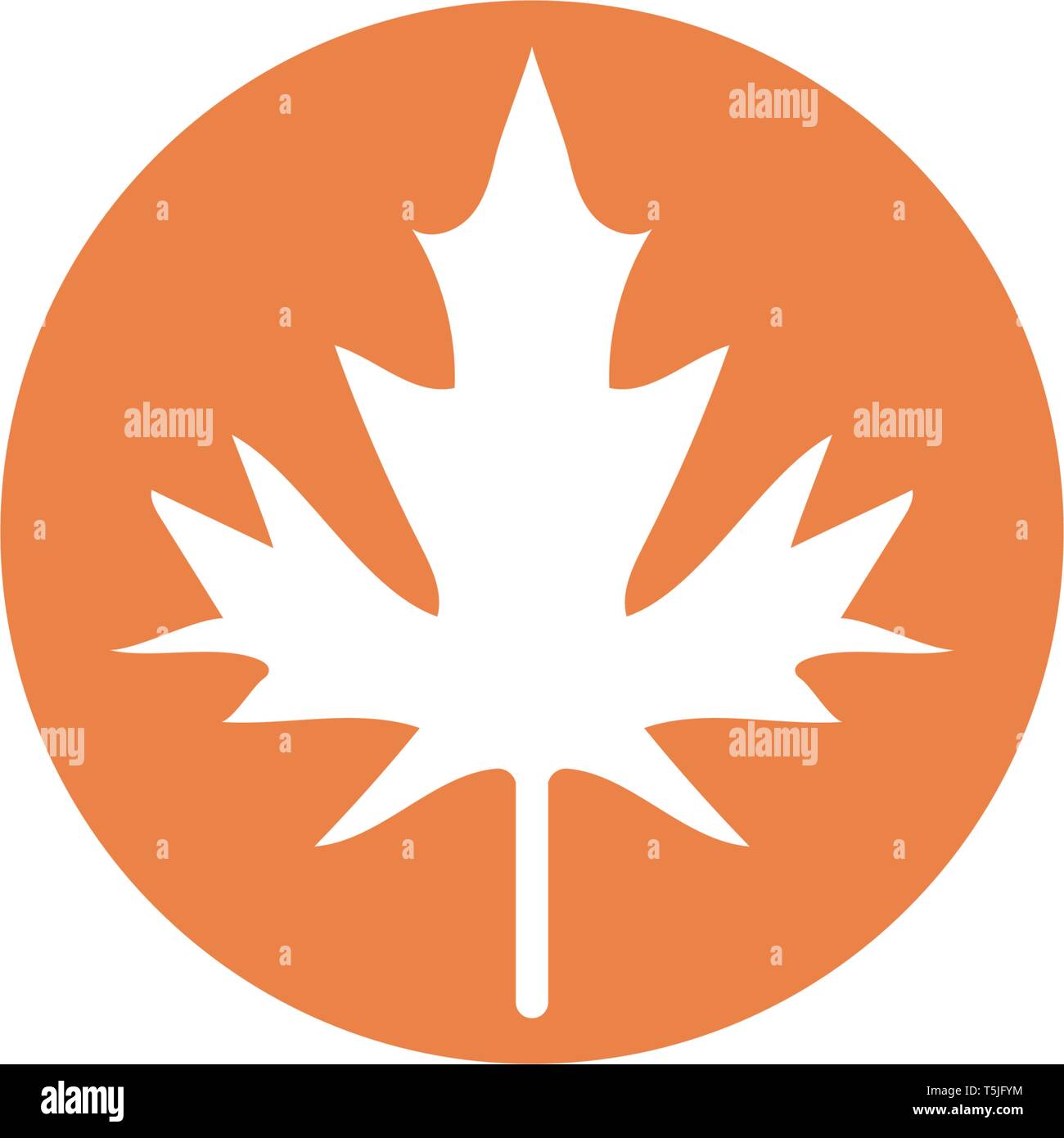 Maple leaf vector illustration design template Stock Vector Image & Art ...