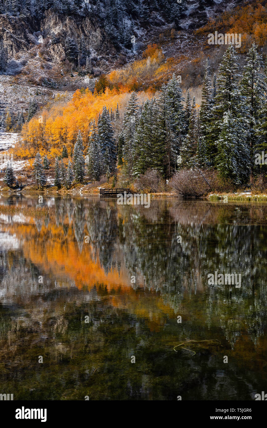 Aspen mirror lake utah hi-res stock photography and images - Alamy