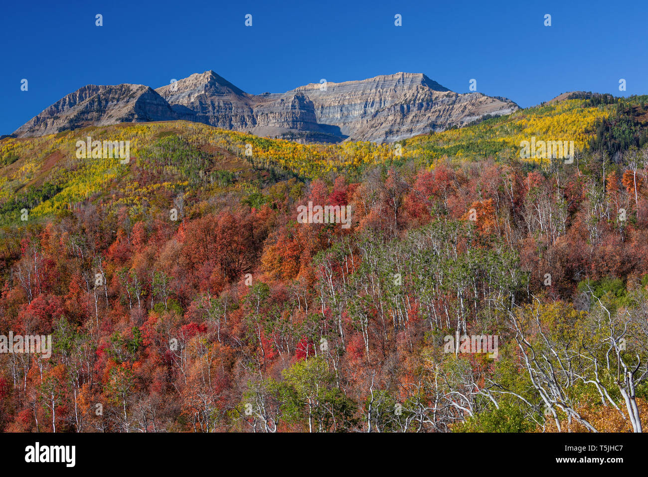 Wasatch mountains utah hi-res stock photography and images - Alamy