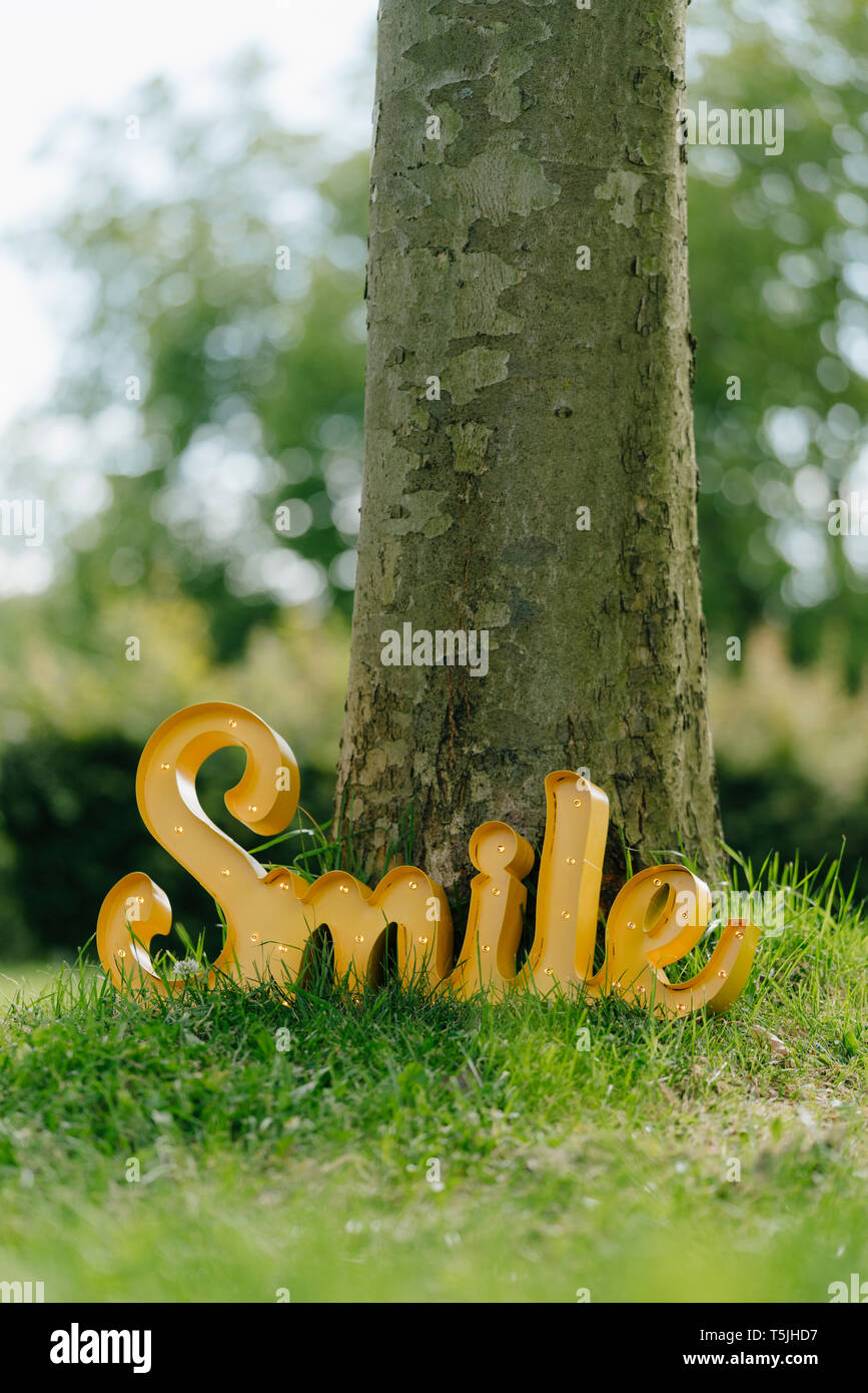 Smile sign leaning tree trunk hi-res stock photography and images - Alamy