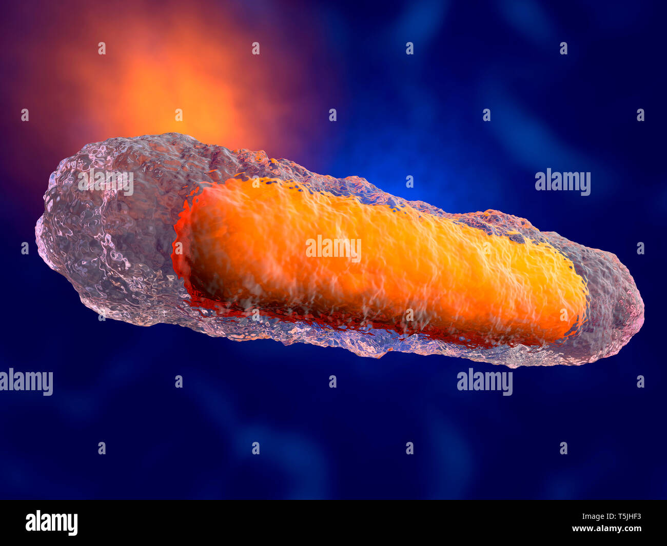 3D rendered illustration of a generic bacteria Stock Photo - Alamy