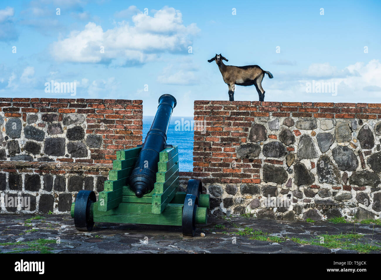 Caribbean, Netherland Antilles, St. Eustatius, Statia, Fort Oranje ...