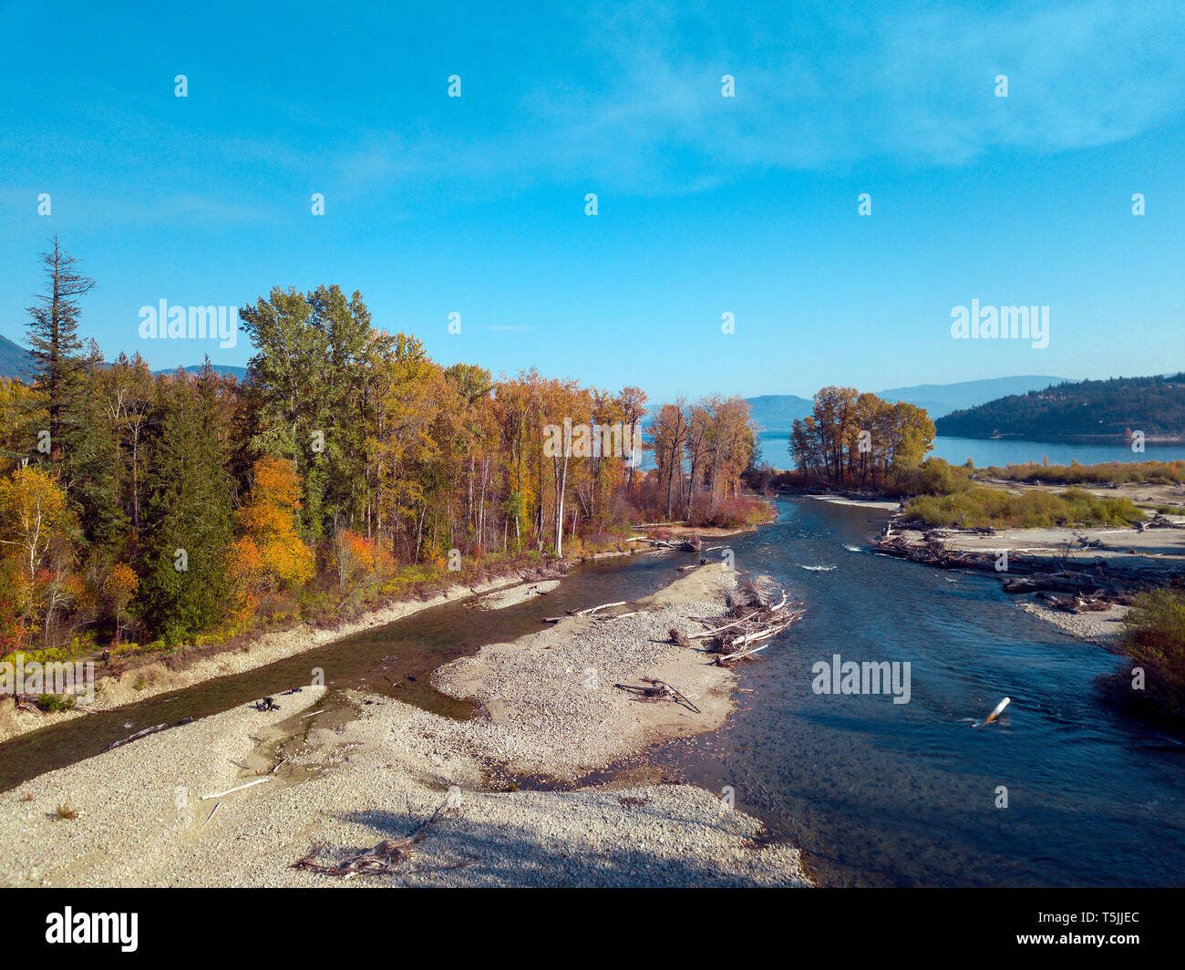 Canada, British Columbia, Aerial view of Adams River during salmon run ...