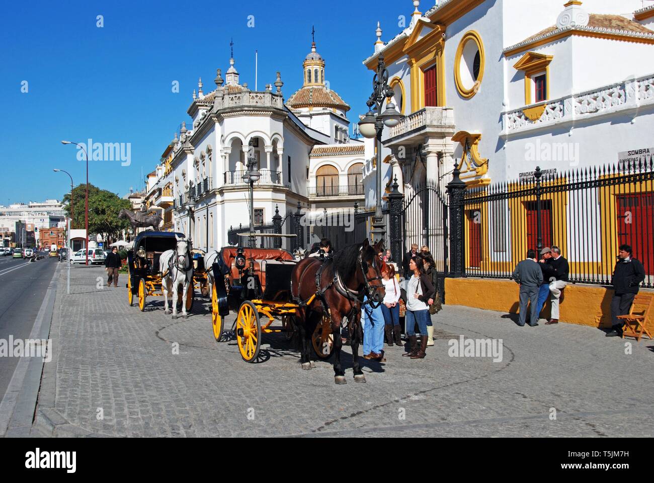 SEVILLE, SPAIN - NOVEMBER 15, 2008 - View of the bullring with horse ...