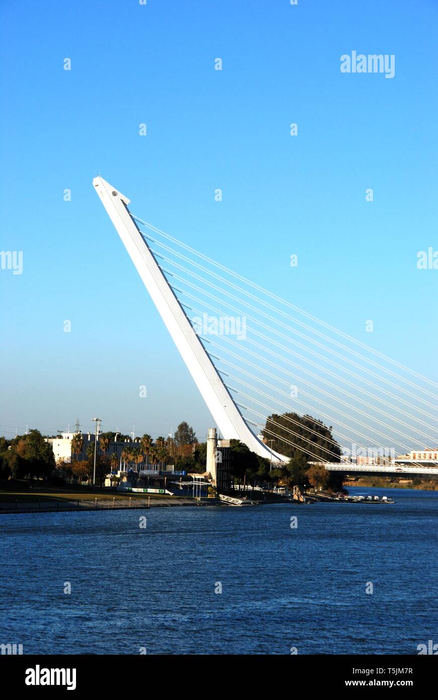 Alamillo bridge (Puente del Alamillo) over the Guadalquivir river ...