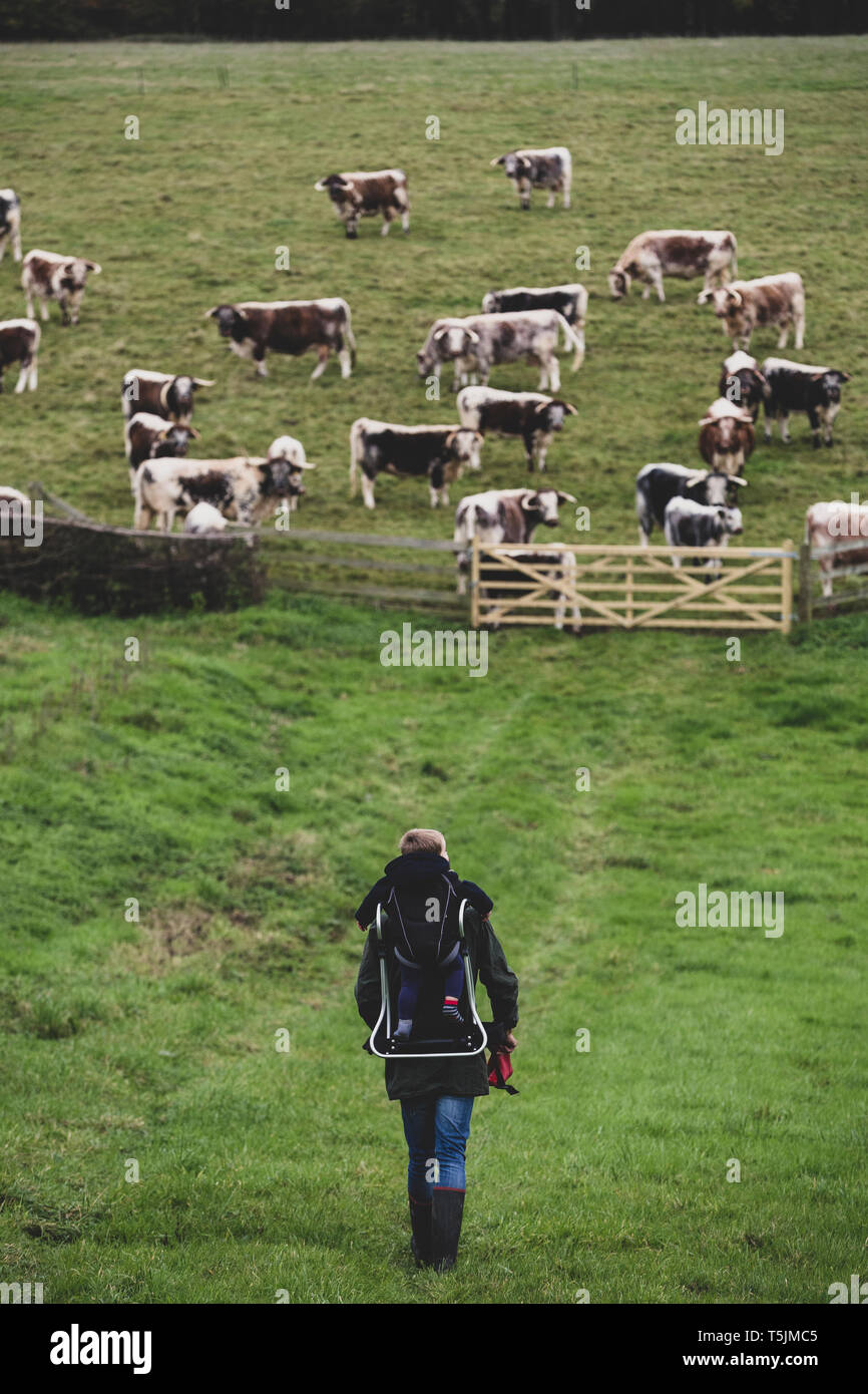 High angle view of man carrying child on his back walking towards a ...
