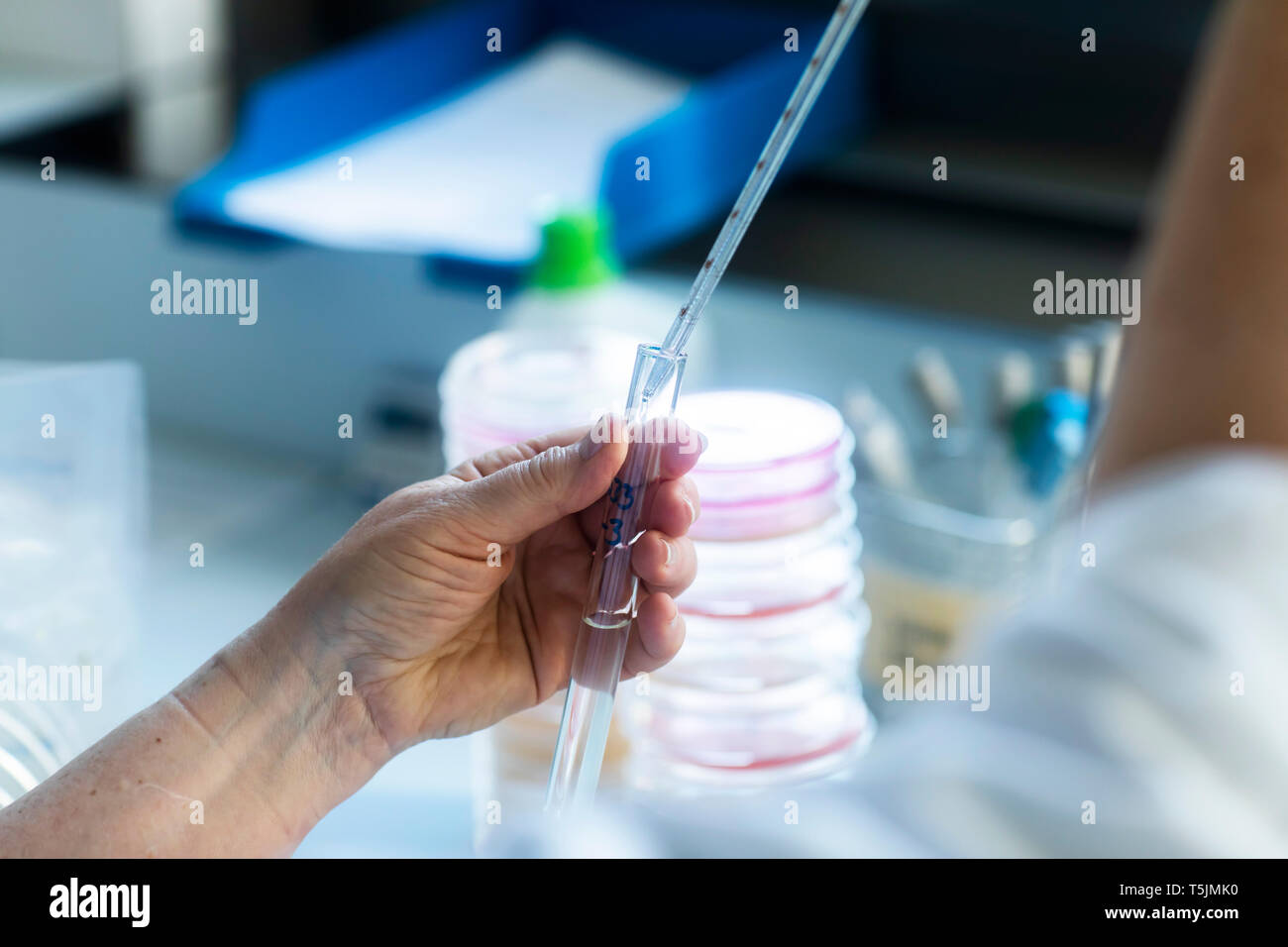 Lab technician experimenting in lab Stock Photo - Alamy