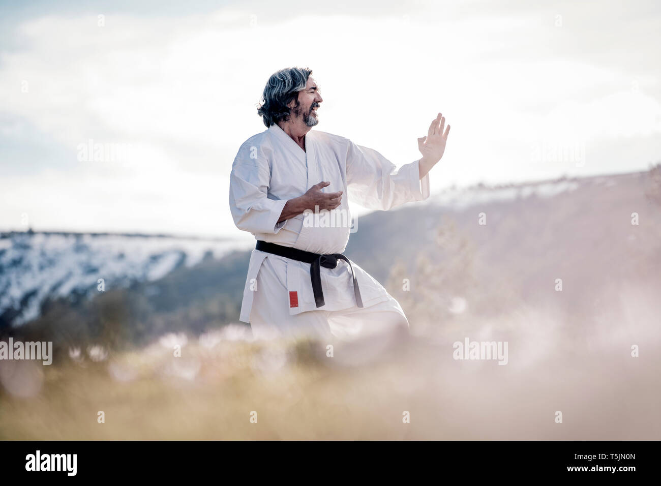 Senior man practicing karate outdoors Stock Photo - Alamy