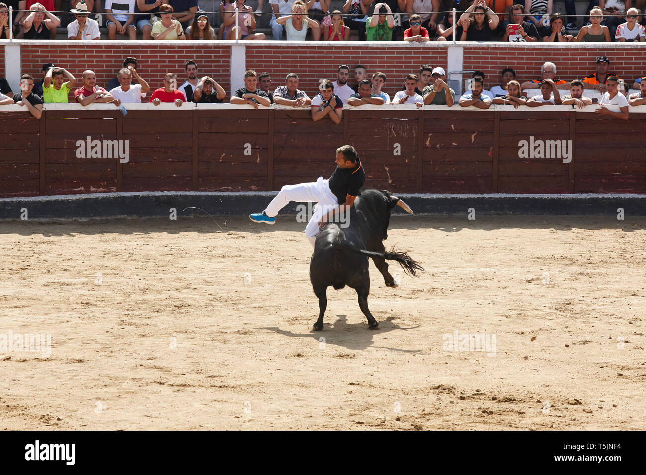 Matador Bull Charging Stock Photos & Matador Bull Charging Stock Images ...