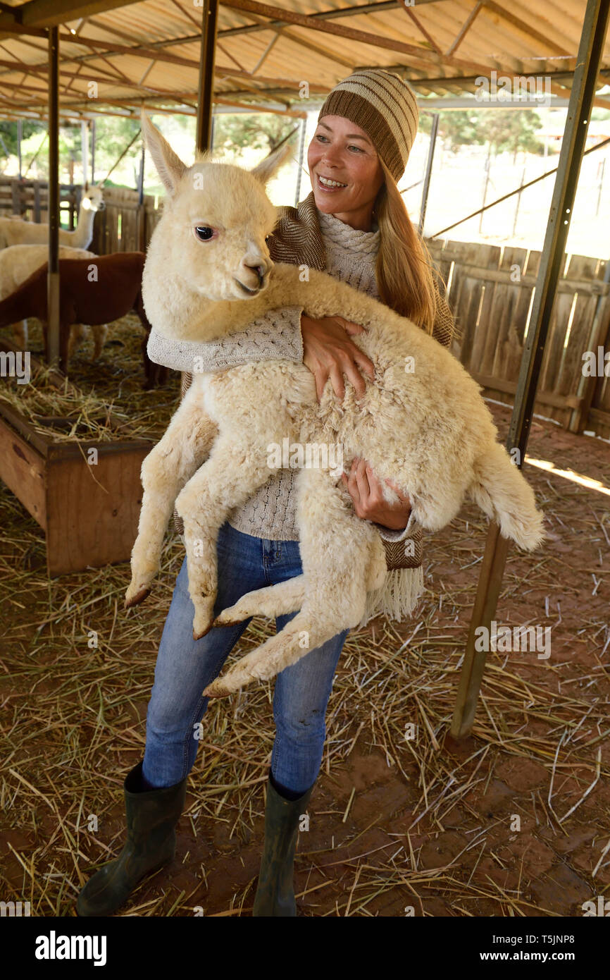 Portrait of smiling mature woman carrying young alpaca in her arms ...