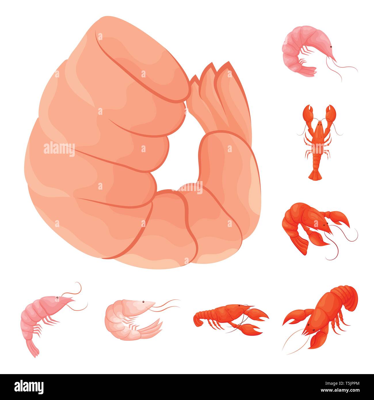 Vector design of shrimp and crab sign. Collection of shrimp and sea ...