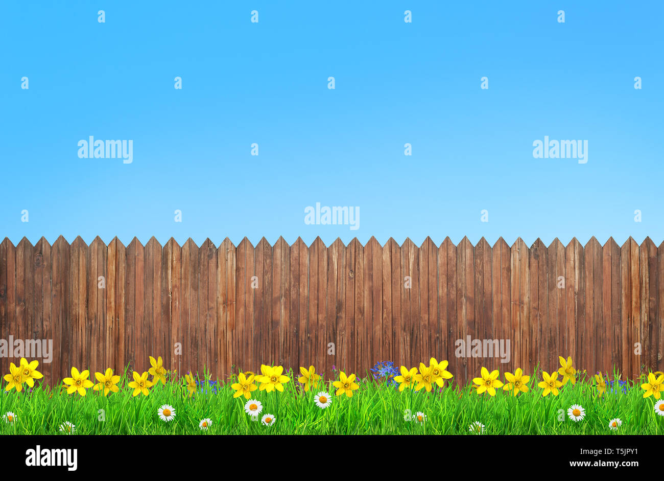 spring flowers and wooden garden fence background Stock Photo - Alamy