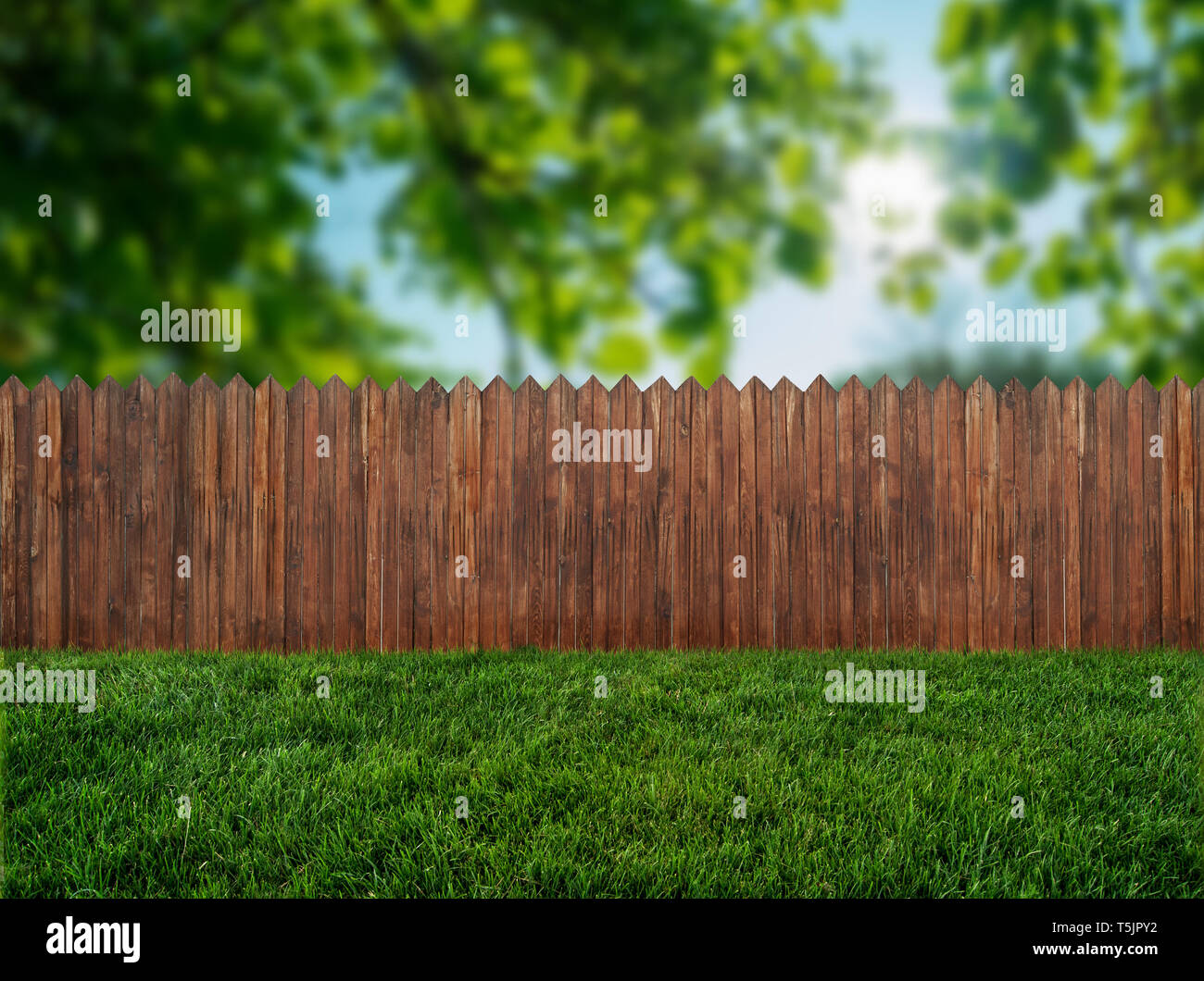 spring tree in backyard and wooden garden fence Stock Photo - Alamy
