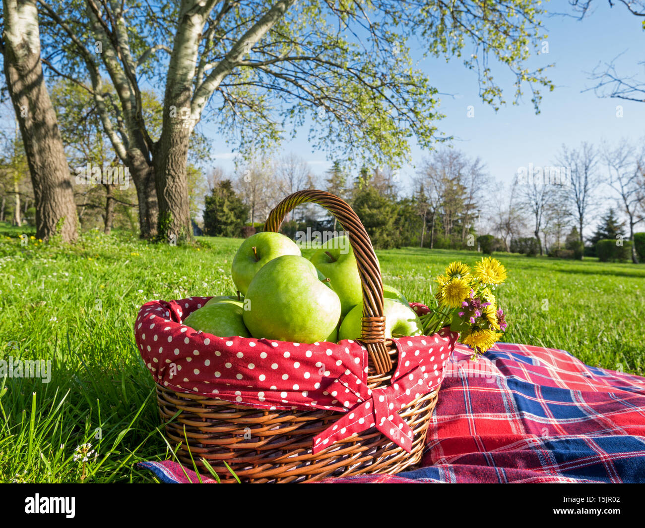picnic basket with apples and blanket outdoor in park Stock Photo - Alamy