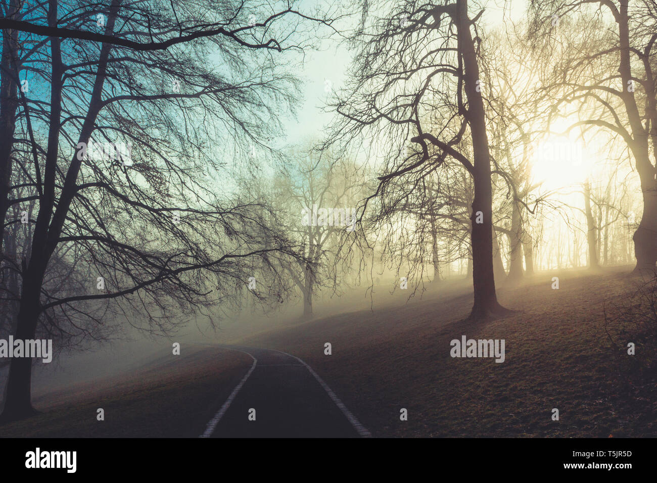 Empty path hi-res stock photography and images - Alamy