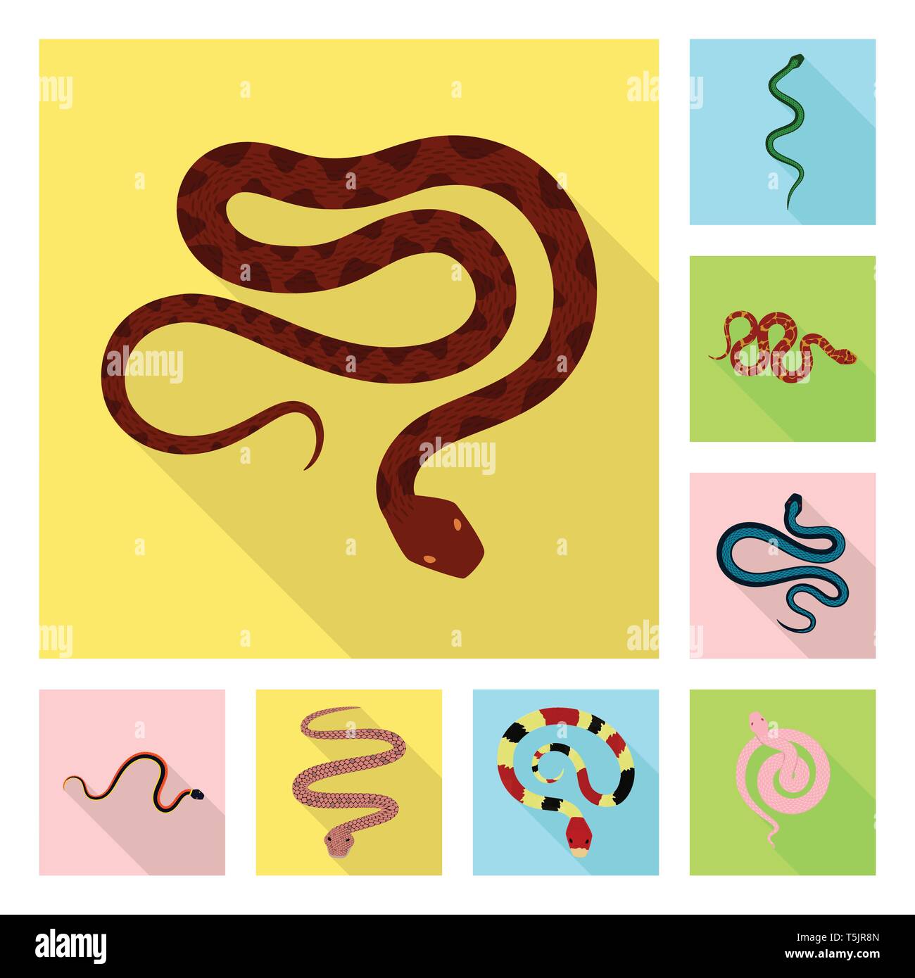 viper,snake,amphibian,animal,tail,wild,anaconda,cobra,coral,white,peril ...