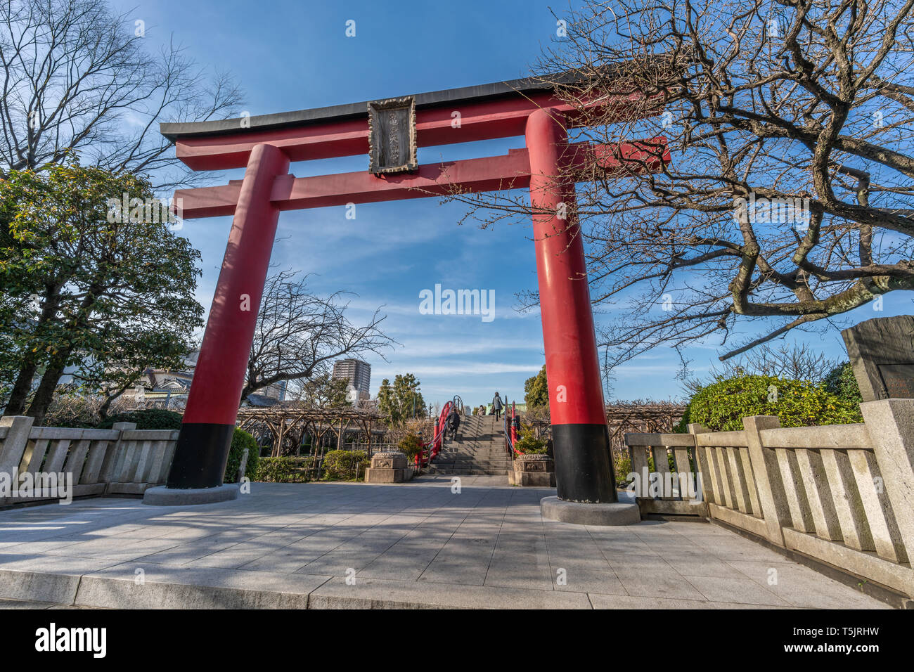Red torii gates at Kameido Tenjin-sha Shinto Tenman-gu Shrine. Built in ...