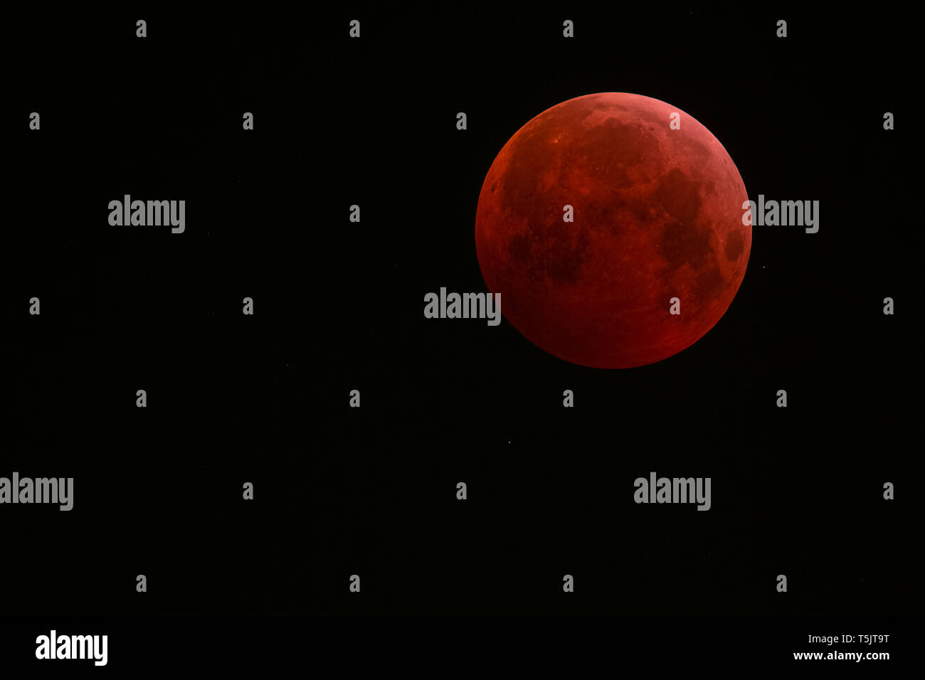 Germany, Frankfurt on Main, total lunar eclipse during maximum eclipse ...