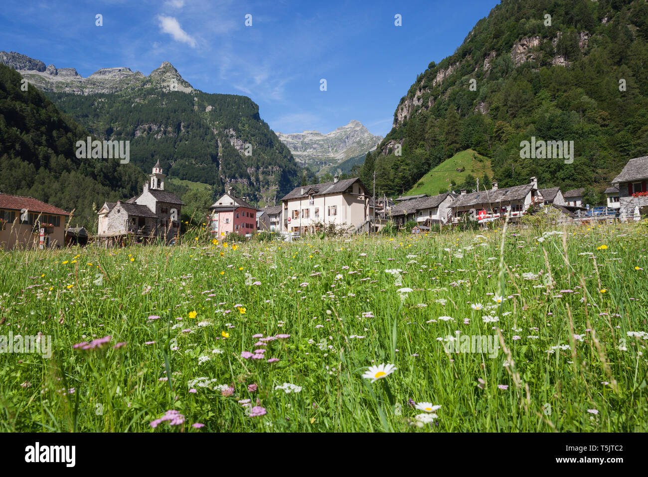 Switzerland, Ticino, Sonogno village, alpine meadow Stock Photo - Alamy