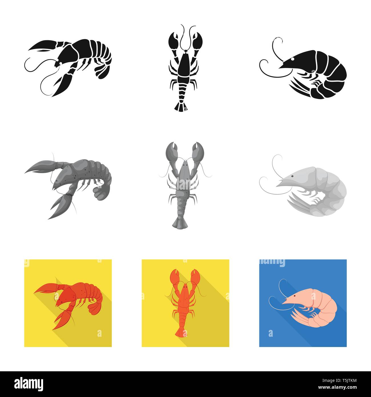 lobster,crayfish,prawn,red,raw,underwater,fresh,atlantic,boiled,cooked ...