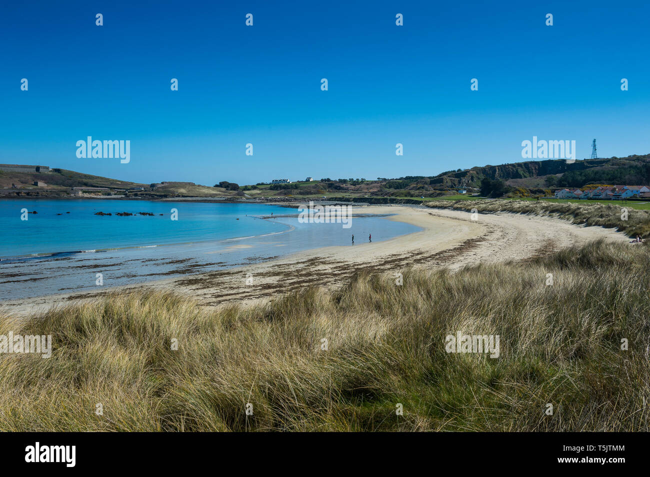 Alderney hi-res stock photography and images - Alamy