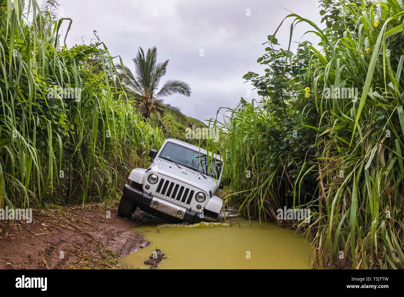 Muddy off road hi-res stock photography and images - Alamy