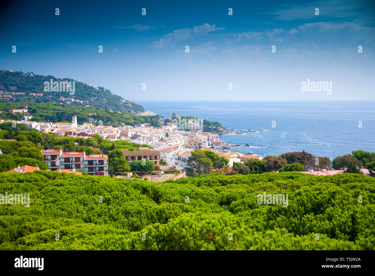 Cosna hi-res stock photography and images - Alamy