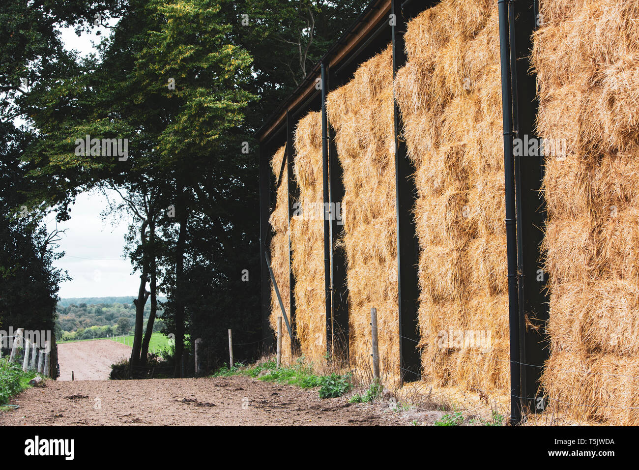 Tall stacks of straw bales along a rural farm track Stock Photo - Alamy