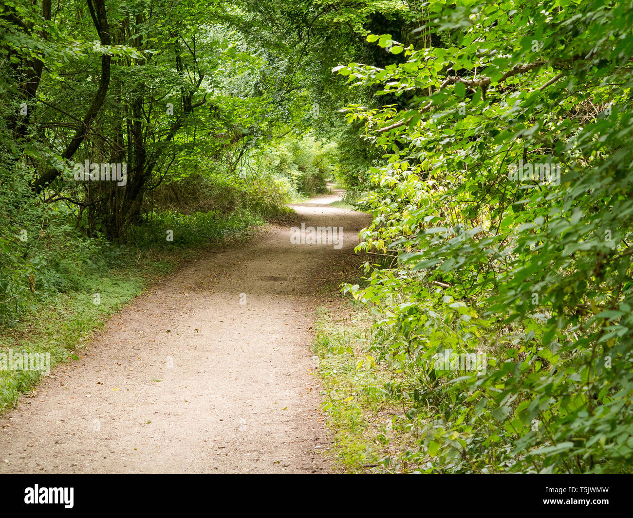 Harrow Way - North of Overton - SU506515 Stock Photo - Alamy