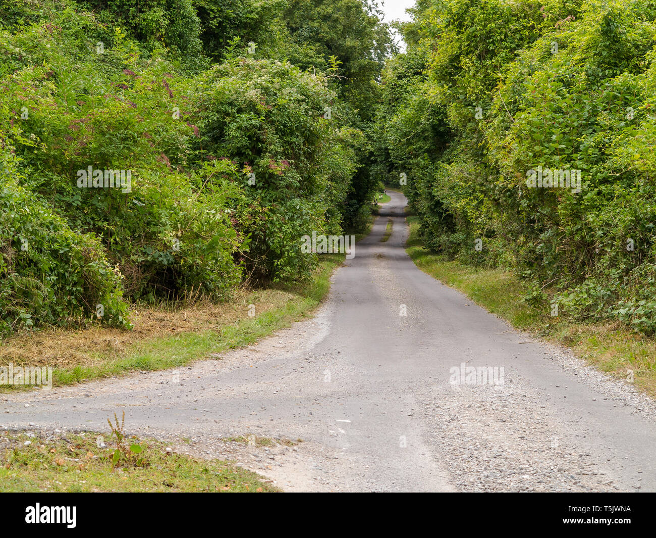 Harroway hi-res stock photography and images - Alamy