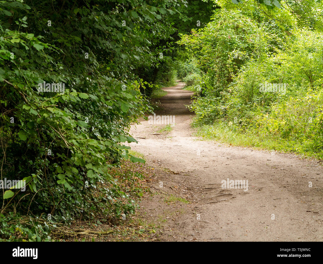 Harroway hi-res stock photography and images - Alamy