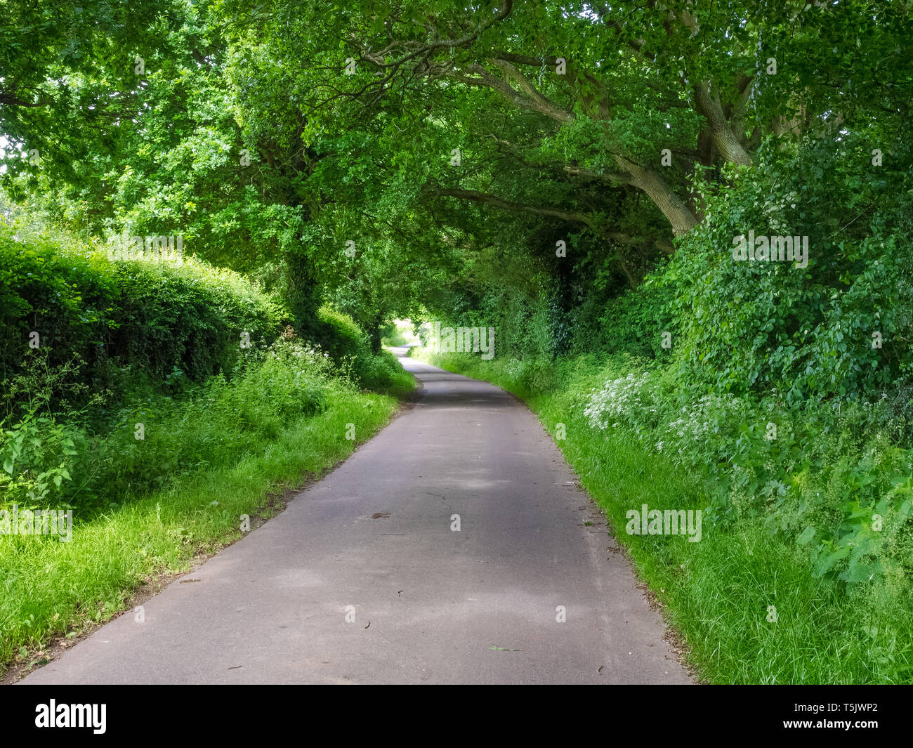 Harroway hi-res stock photography and images - Alamy