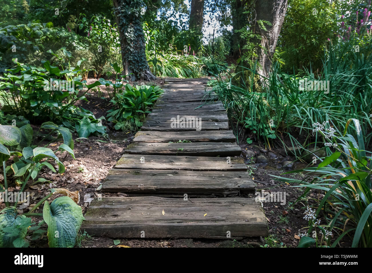Old wooden path going through the woods at Coton Manor Gardens ...