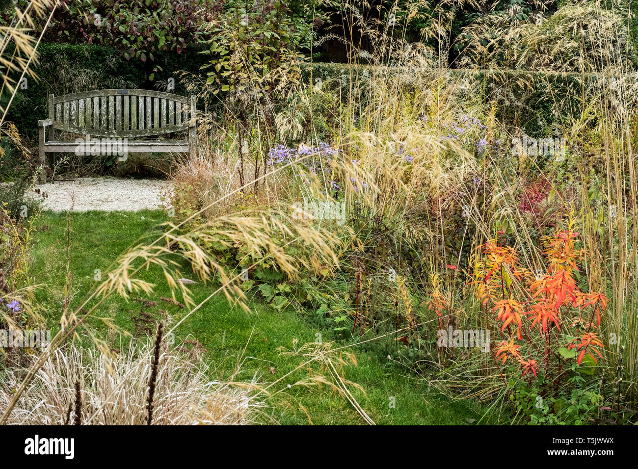 A prairie planting scheme in the garden of a hotel, long grasses and ...
