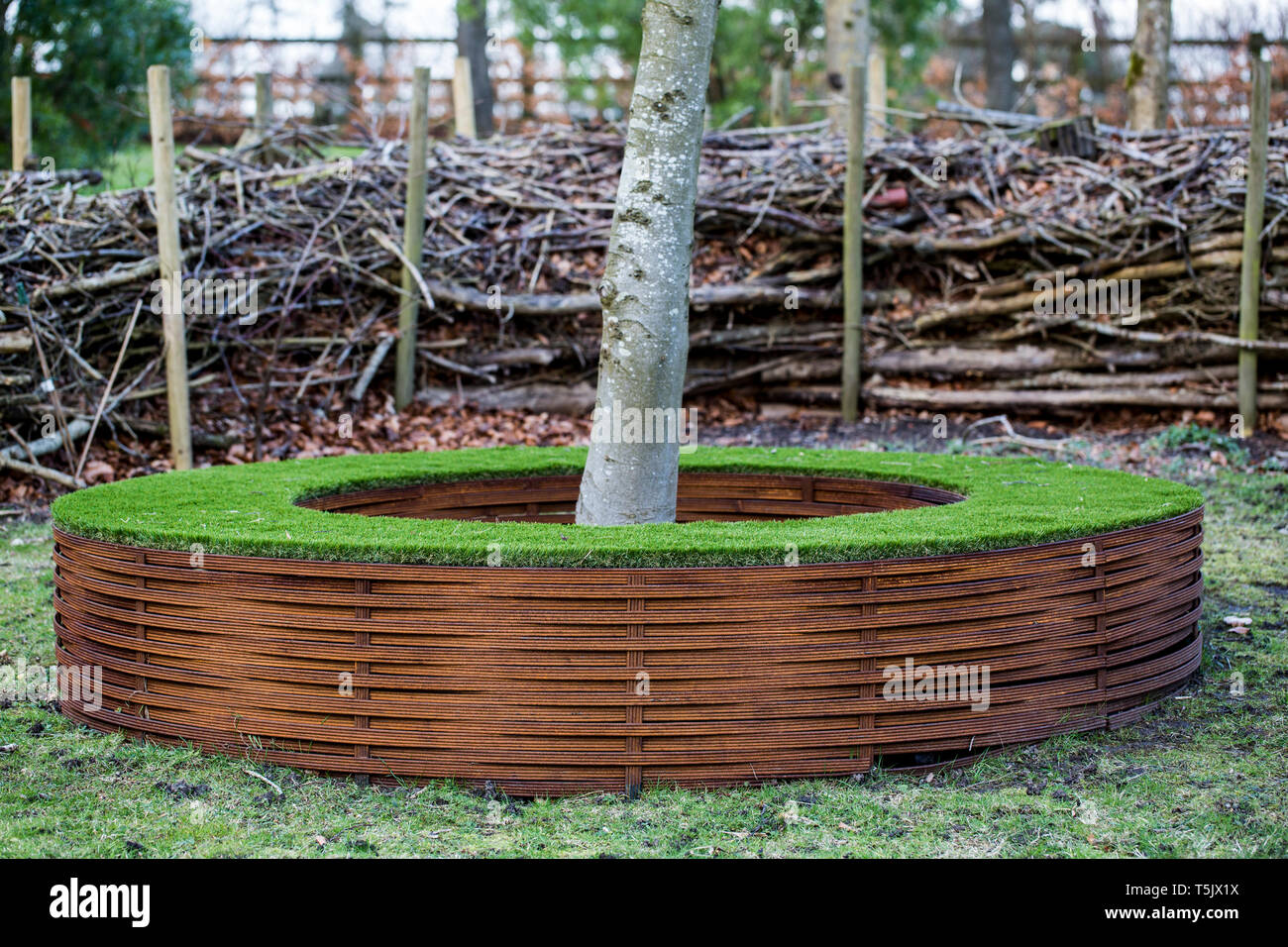 Planting a tree winter england hi-res stock photography and images - Alamy