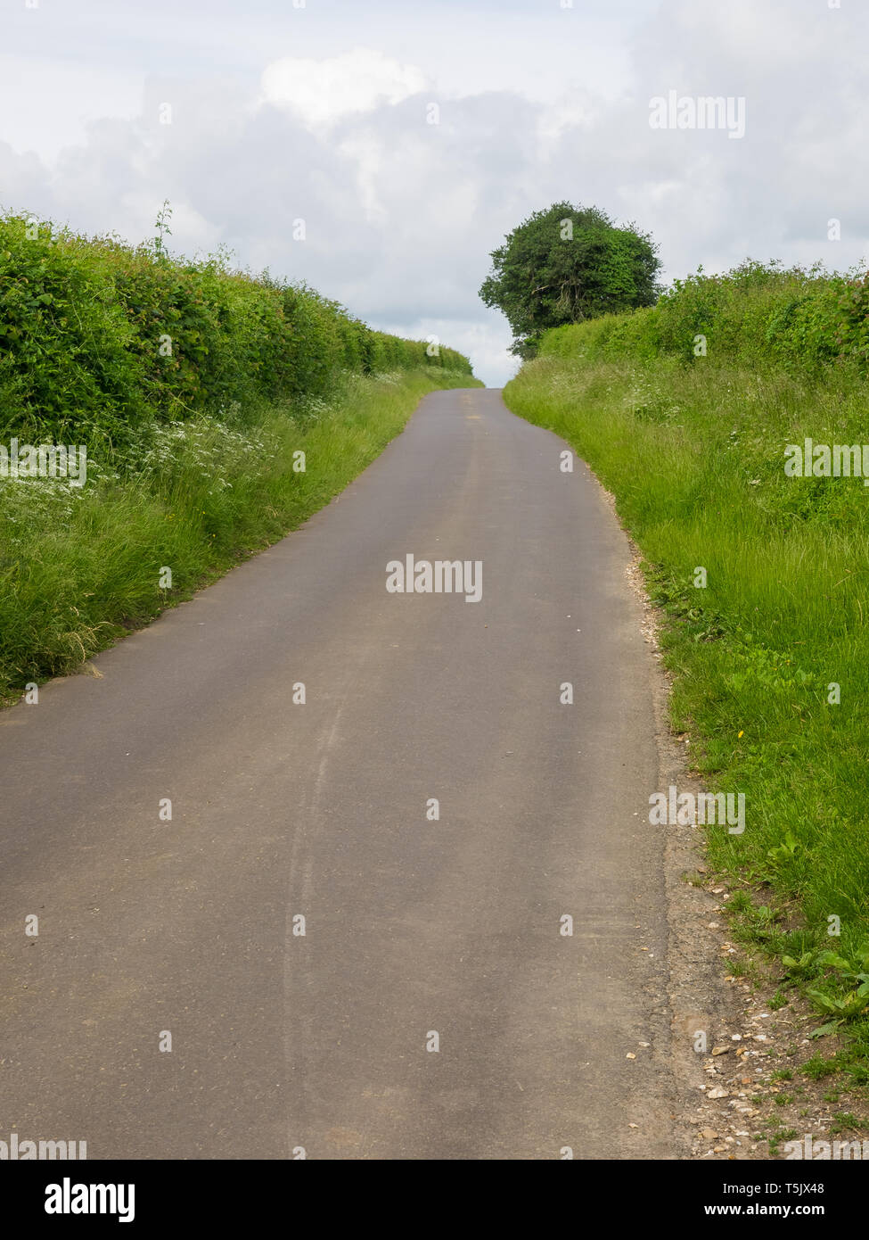 Harroway hi-res stock photography and images - Alamy