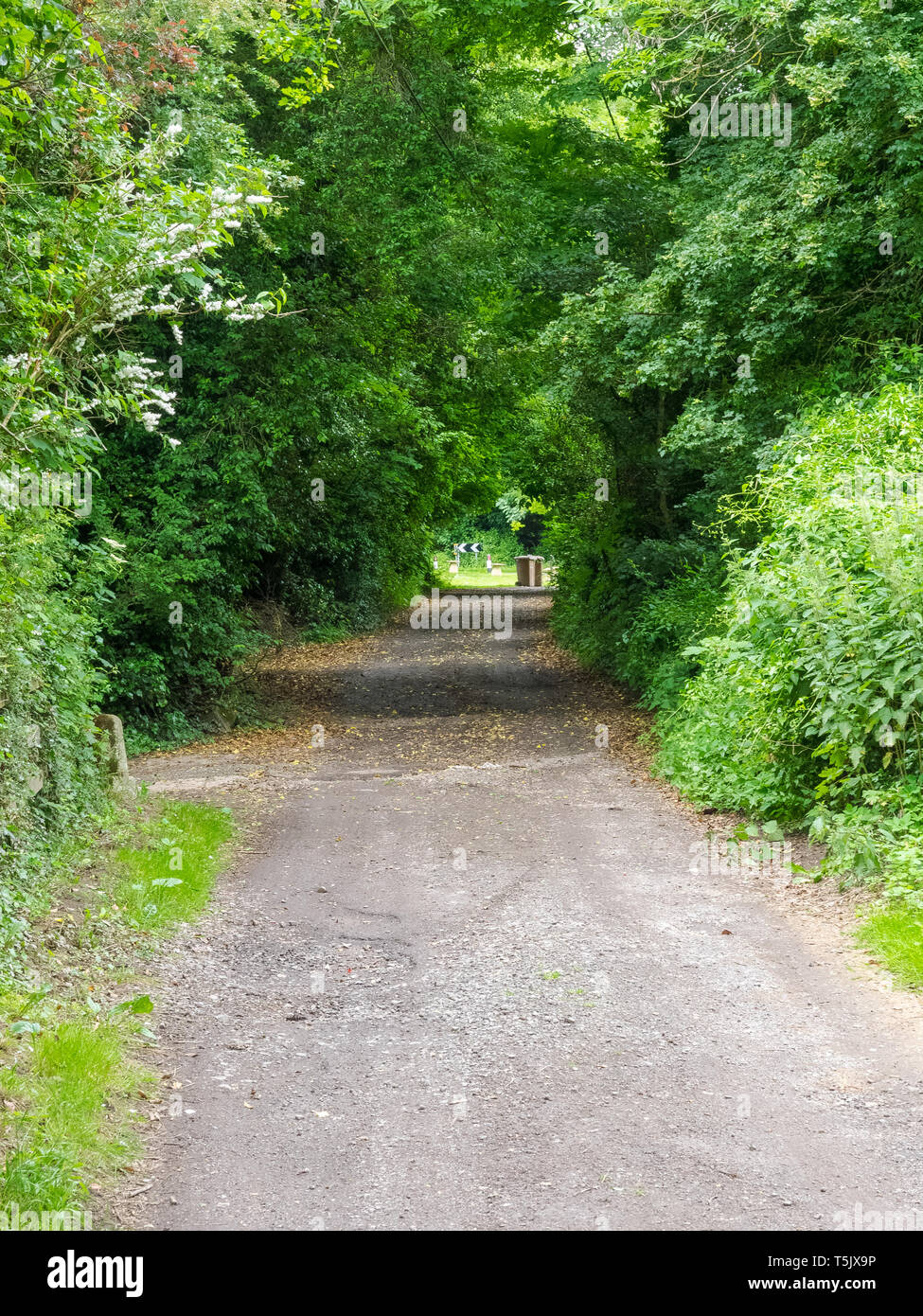 Harroway hi-res stock photography and images - Alamy