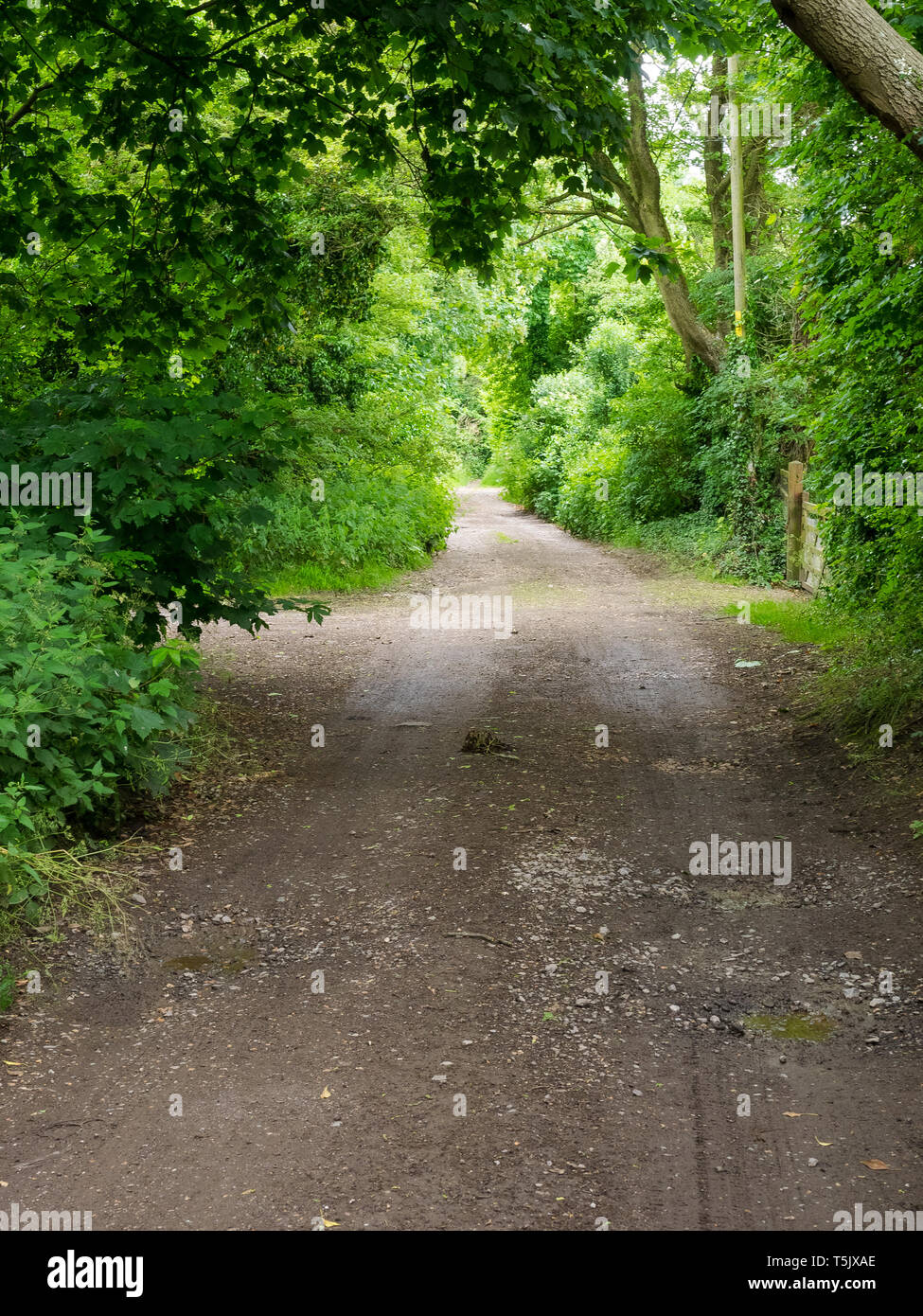 Harroway hi-res stock photography and images - Alamy