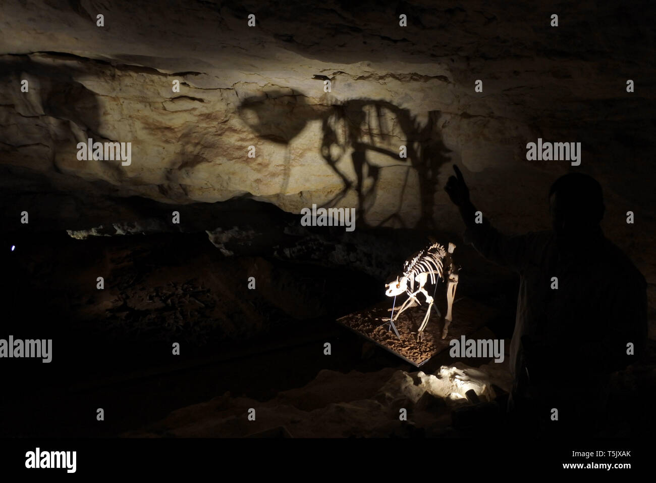 Guide Fossils High Resolution Stock Photography and Images - Alamy