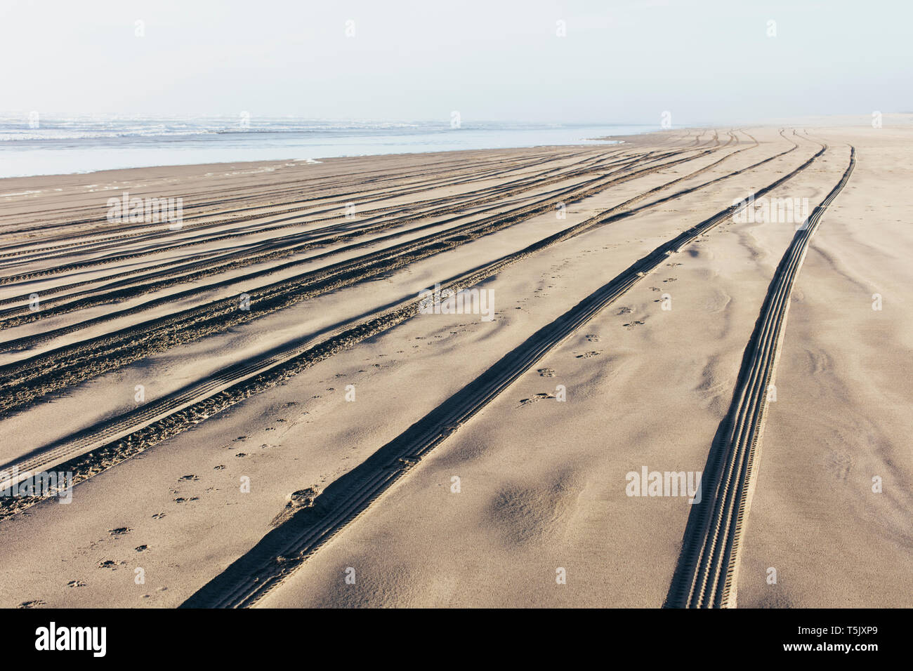 Tire tracks on the soft surface of sand on a beach Stock Photo - Alamy