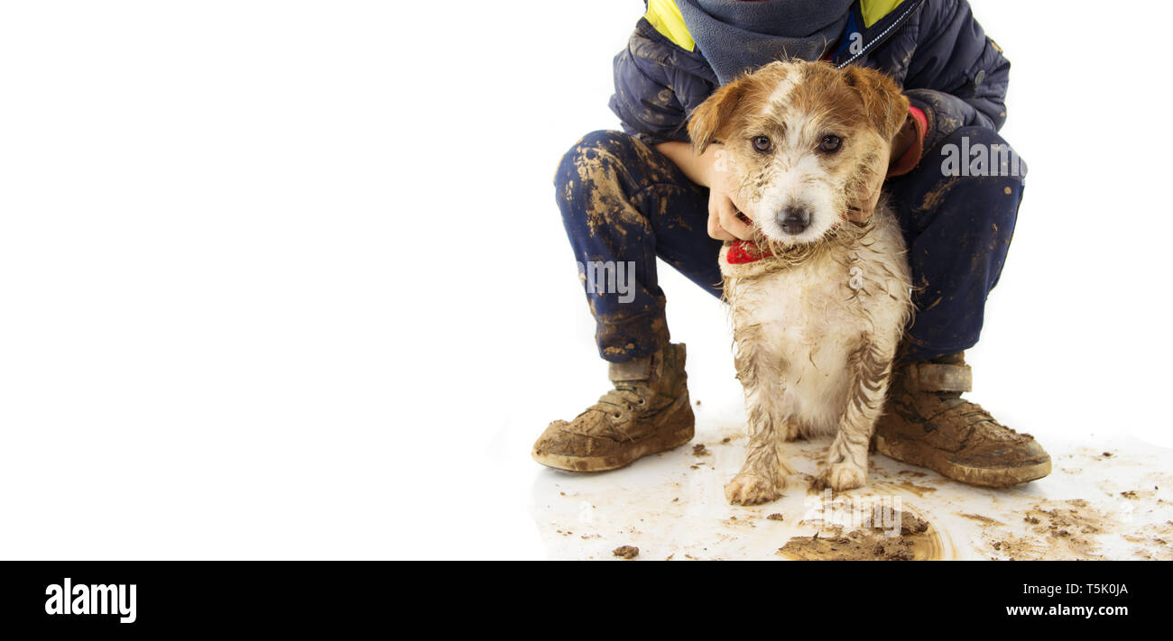 Boy washing dog hi-res stock photography and images - Alamy