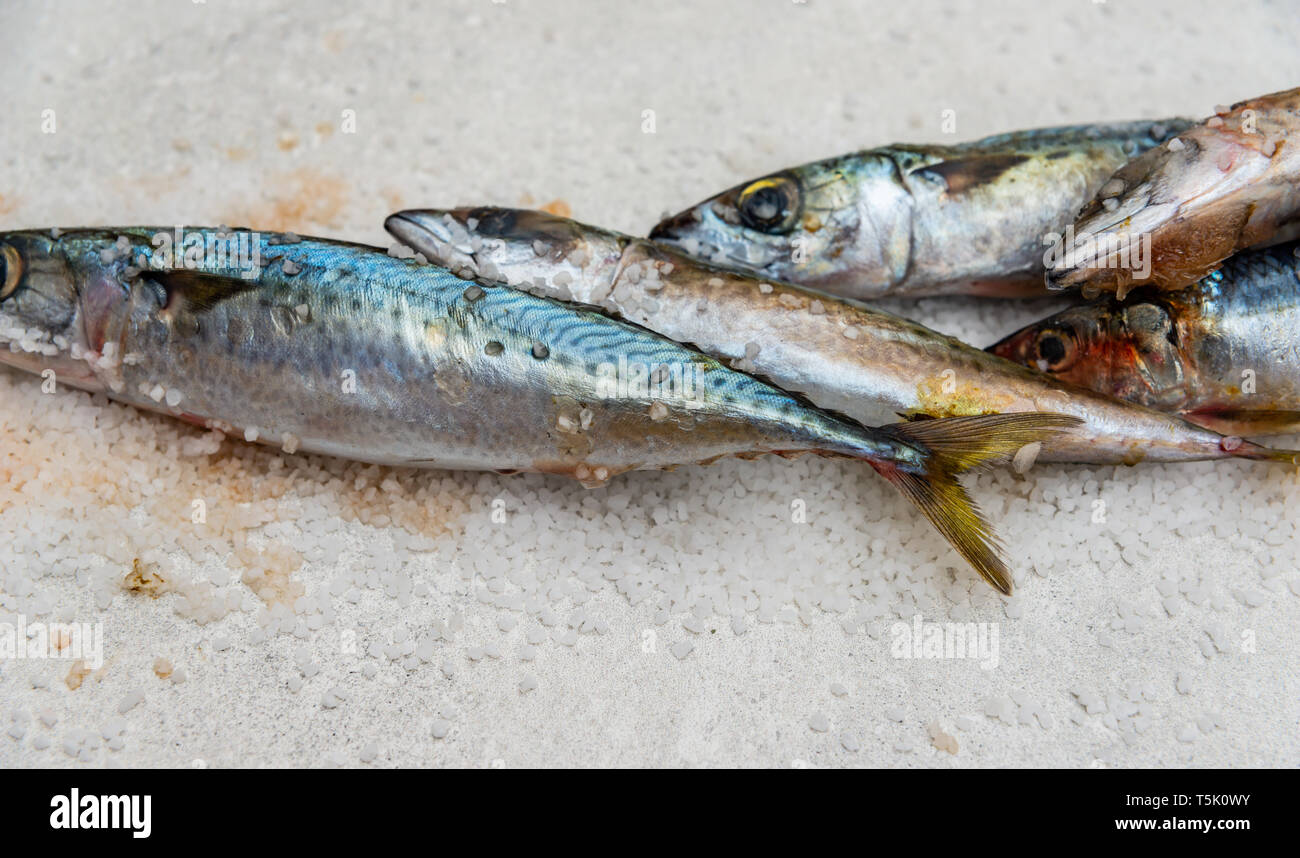 Whole raw organic mackerel fish with sea salt lying on a flat surface ...